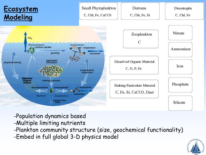 PPT - Marine Ecosystem Modeling & Genomics PowerPoint Presentation - ID ...
