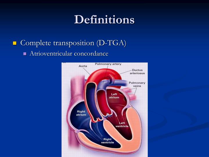 PPT - Transposition of the Great Arteries PowerPoint Presentation - ID ...