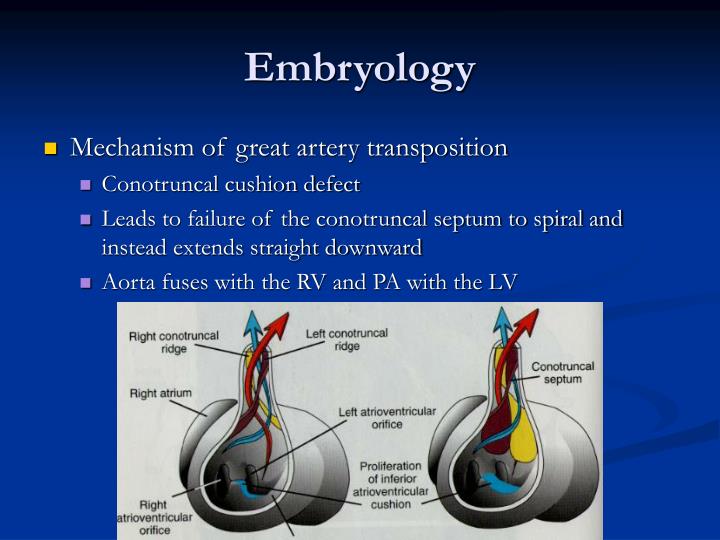 PPT - Transposition of the Great Arteries PowerPoint Presentation - ID ...
