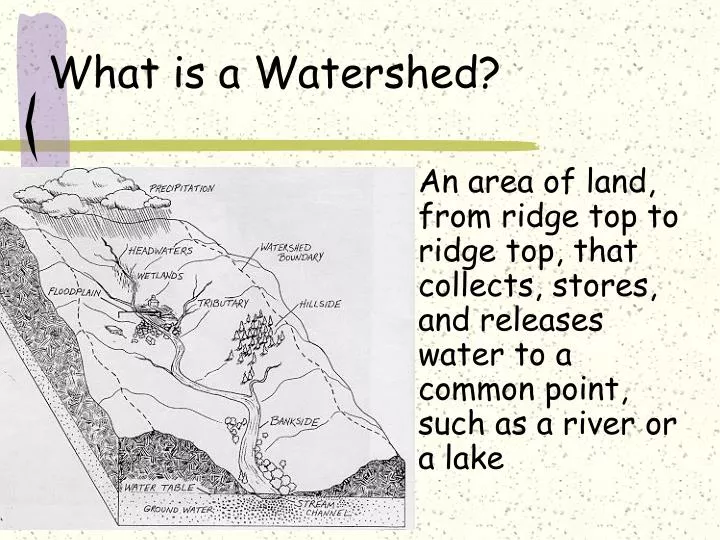 PPT - What is a Watershed? PowerPoint Presentation, free download - ID ...
