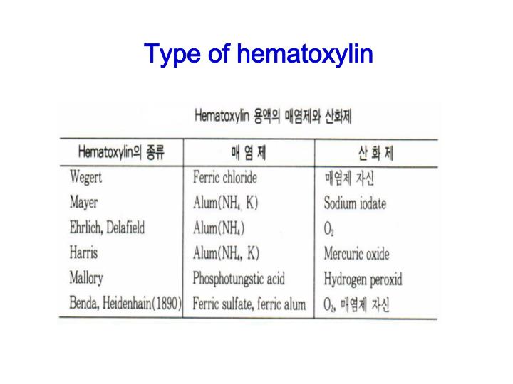 PPT - Hematoxylin 의 산화제와 매염제 PowerPoint Presentation - ID:4638132