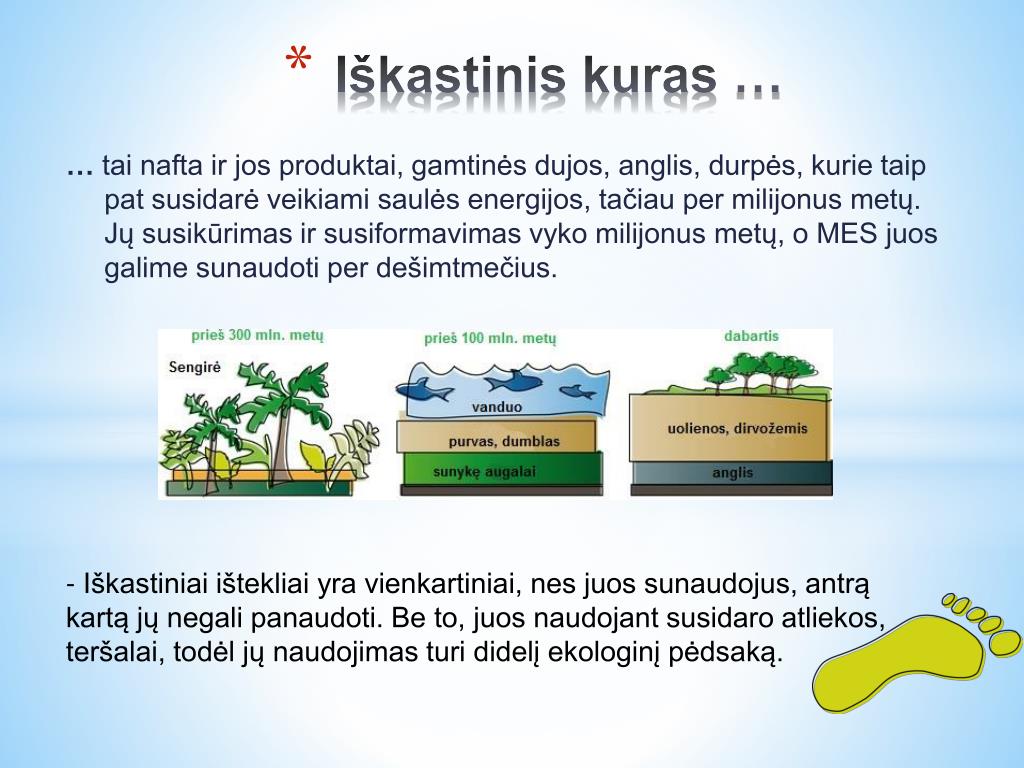 PPT - Mokyklų ekologinis pėdsakas PowerPoint Presentation, free ...