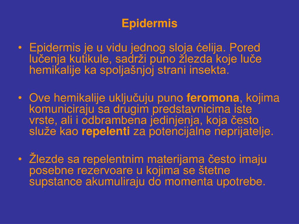 PPT - Anatomija insekata Unutrašnja gra đ a tela insekata skoro da ima ...