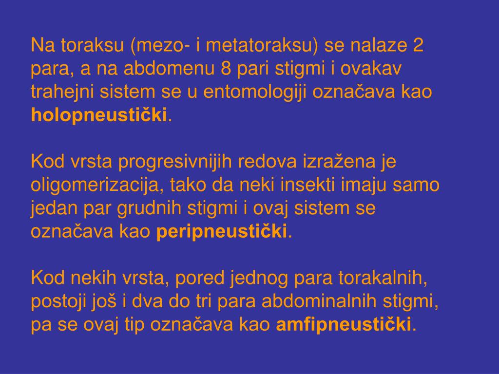 PPT - Anatomija insekata Unutrašnja gra đ a tela insekata skoro da ima ...