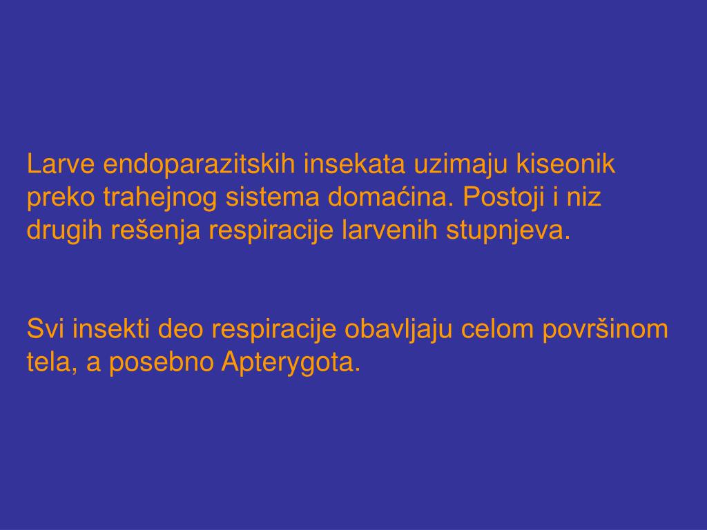 PPT - Anatomija insekata Unutrašnja gra đ a tela insekata skoro da ima ...