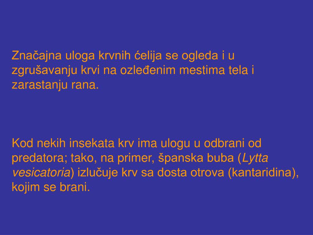 PPT - Anatomija insekata Unutrašnja gra đ a tela insekata skoro da ima ...