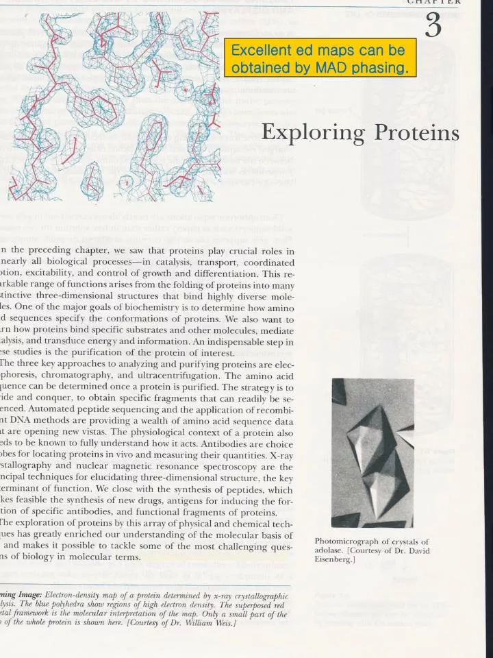 PPT - Excellent ed maps can be obtained by MAD phasing. PowerPoint ...