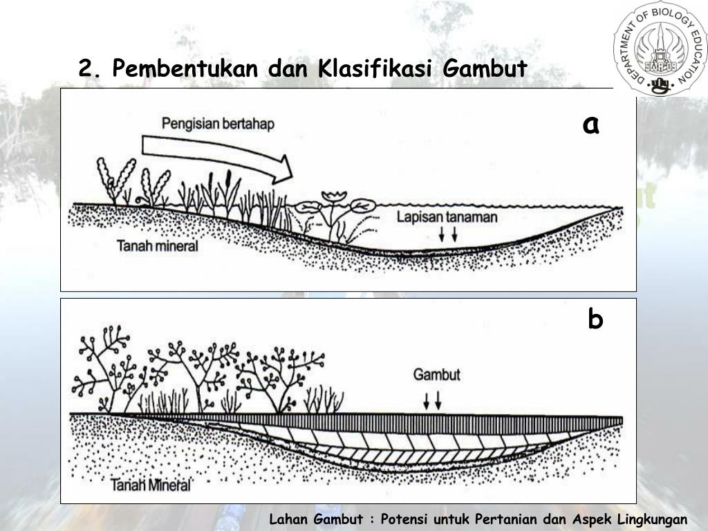 PPT - Lahan Gambut : Potensi untuk Pertanian dan Aspek Lingkungan ...