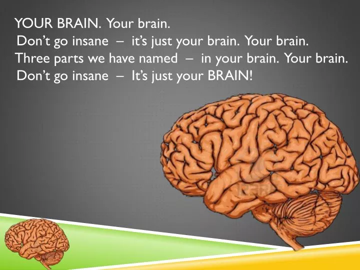 PPT - YOUR BRAIN. Your brain. Don’t go insane – it’s just your brain ...