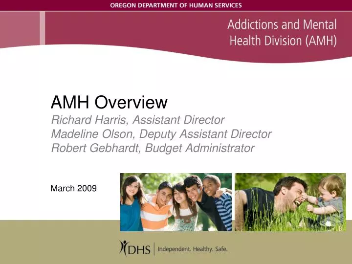 PPT - AMH vision and themes PowerPoint Presentation, free download - ID ...