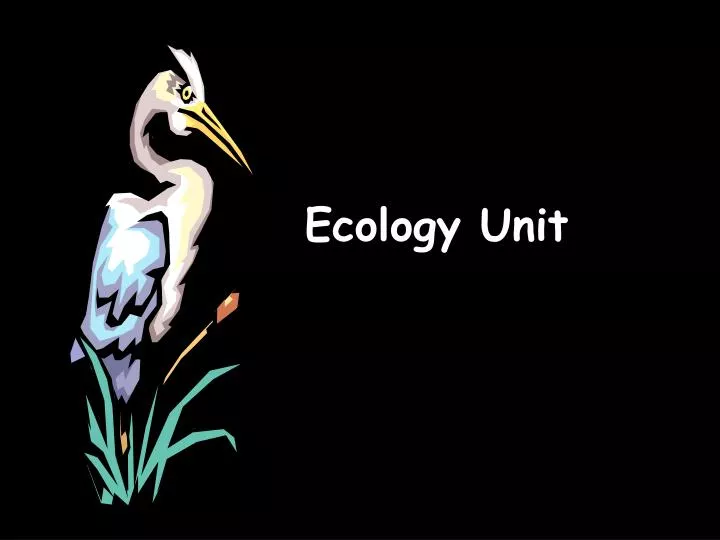 PPT - Ecology Unit PowerPoint Presentation, free download - ID:4642827