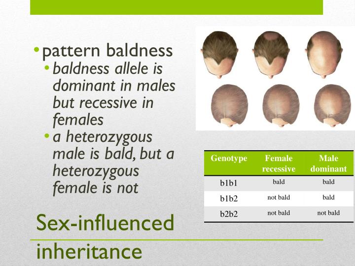 PPT - Non-Mendelian Genetics PowerPoint Presentation - ID:4643067