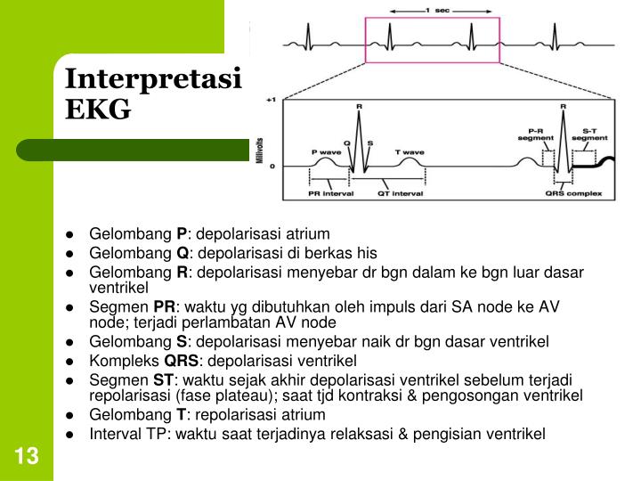 PPT - PATOFISIOLOGI JANTUNG PowerPoint Presentation - ID:4645723