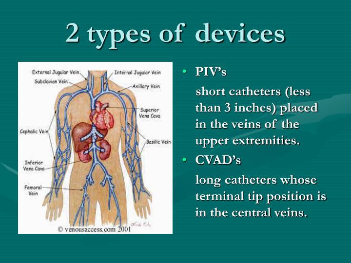 PPT - Venous Access Devices in Clinical Practice PowerPoint ...