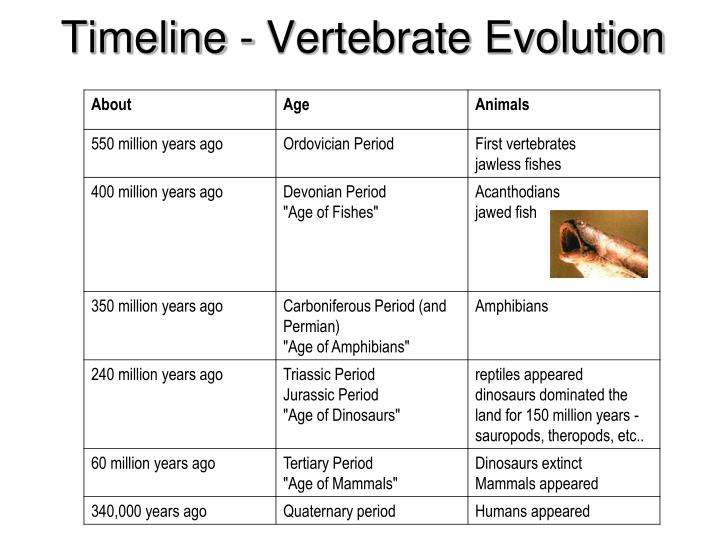 PPT - Aquatic Life - Vertebrate Animals PowerPoint Presentation - ID ...