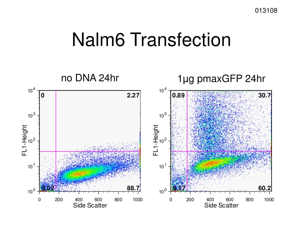 PPT - Homology-directed gene repair PowerPoint Presentation, free ...