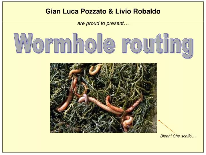 PPT - Wormhole routing PowerPoint Presentation, free download - ID:4649753