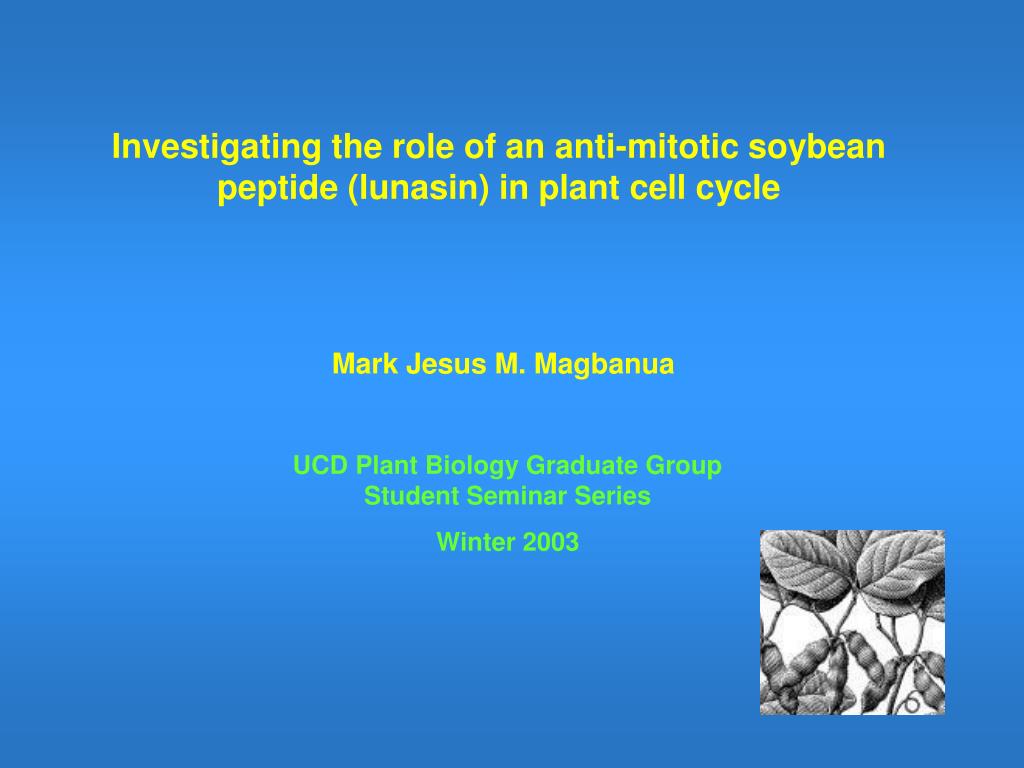 PPT - Investigating the role of an anti-mitotic soybean peptide ...