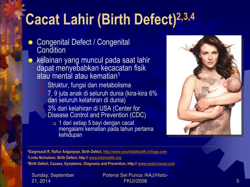 PPT - POTENSI SEL PUNCA (STEM CELL) UNTUK MEMPERBAIKI CACAT LAHIR DI MASA DEPAN PowerPoint ...