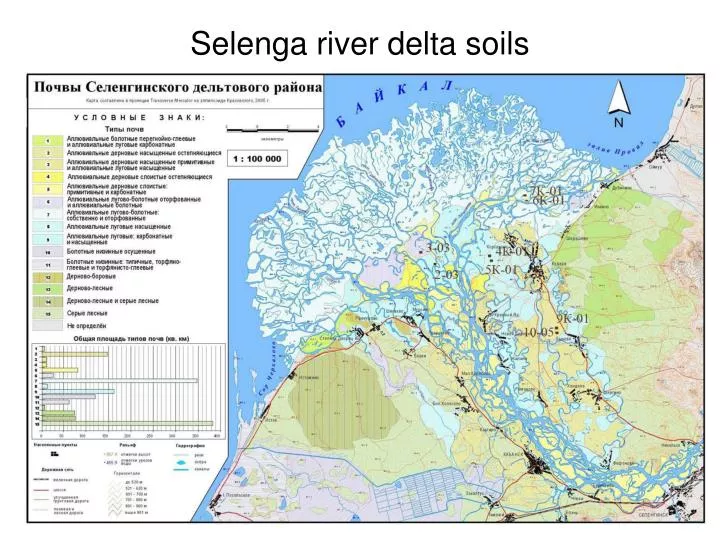 PPT - Selenga river delta soils PowerPoint Presentation, free download ...