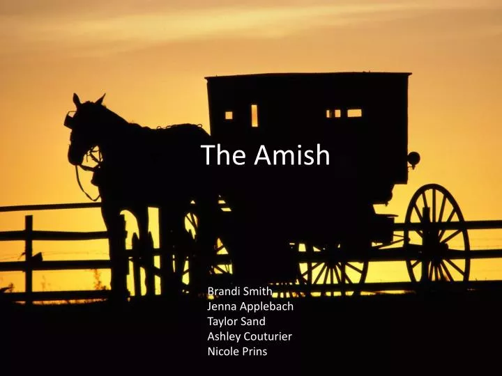 PPT - The Amish PowerPoint Presentation, free download - ID:4654212
