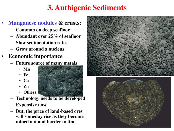 PPT - DEEP-SEA SEDIMENTS Part II PowerPoint Presentation - ID:4654455