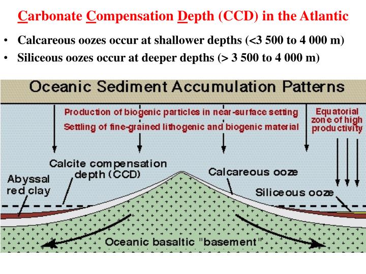 PPT - DEEP-SEA SEDIMENTS Part II PowerPoint Presentation - ID:4654455