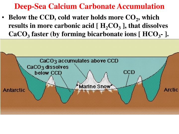 PPT - DEEP-SEA SEDIMENTS Part II PowerPoint Presentation - ID:4654455