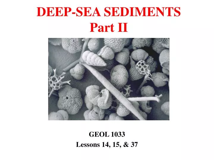 PPT - DEEP-SEA SEDIMENTS Part II PowerPoint Presentation, free download ...