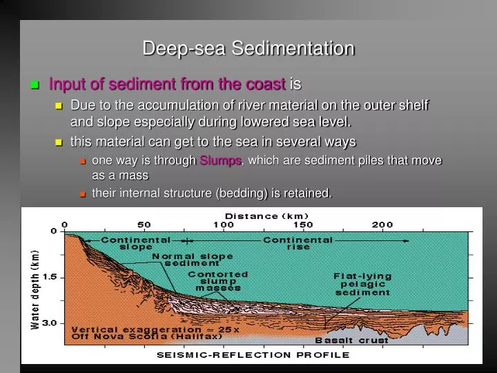 PPT - Deep-sea Sedimentation PowerPoint Presentation, free download ...