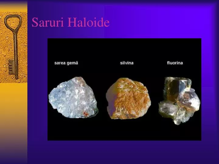 PPT - Saruri Haloide PowerPoint Presentation, free download - ID:4654494