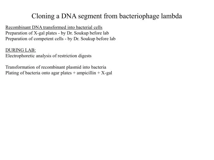 Ppt Cloning A Dna Segment From Bacteriophage Lambda Powerpoint 9667