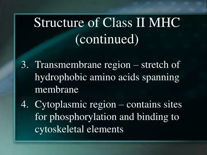 PPT - Structure of Class II MHC (continued) PowerPoint Presentation ...