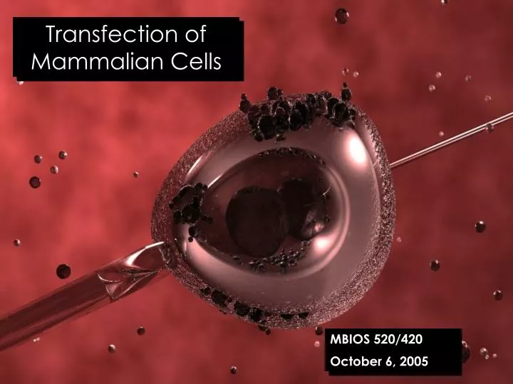 PPT - Transfection of Mammalian Cells PowerPoint Presentation, free ...
