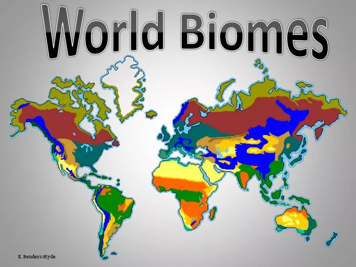 PPT - World Biomes PowerPoint Presentation, free download - ID:4655342