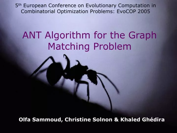 PPT - ANT Algorithm for the Graph Matching Problem PowerPoint ...