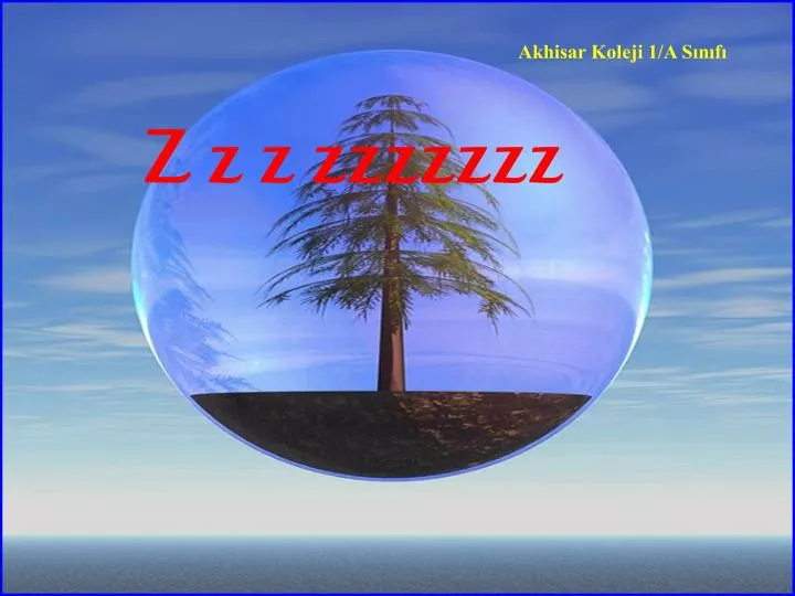 PPT - Z z z zzzzzzz PowerPoint Presentation, free download - ID:4657898