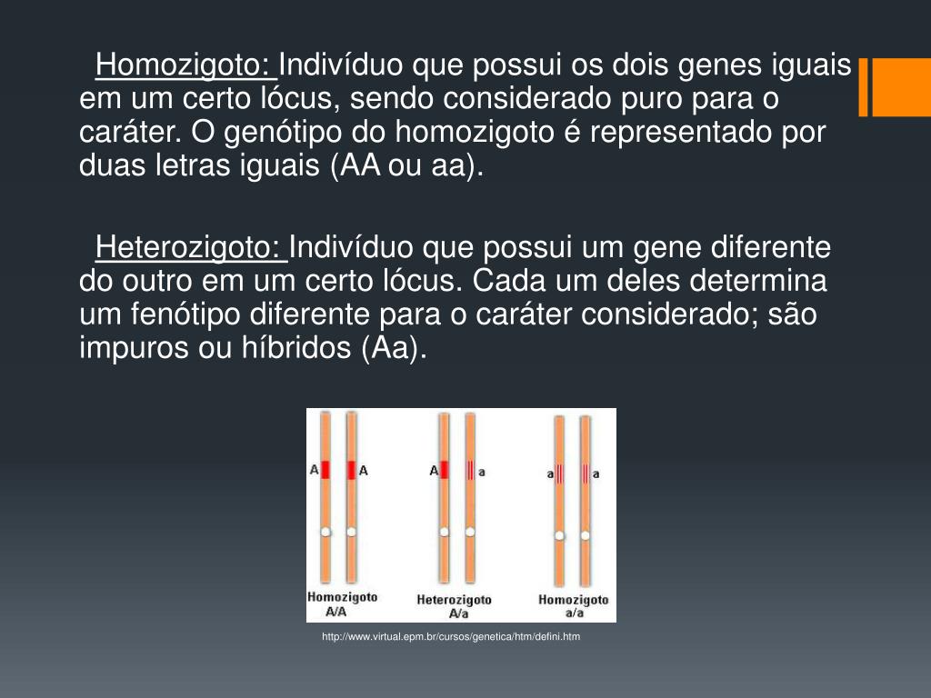 PPT - Biologia introdução ao estudo da genética PowerPoint Presentation ...