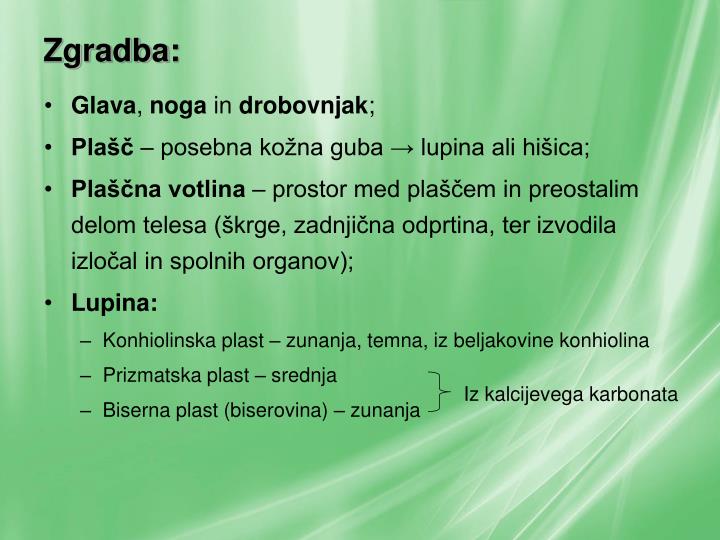 PPT - MEHKUŽCI PowerPoint Presentation - ID:4659269