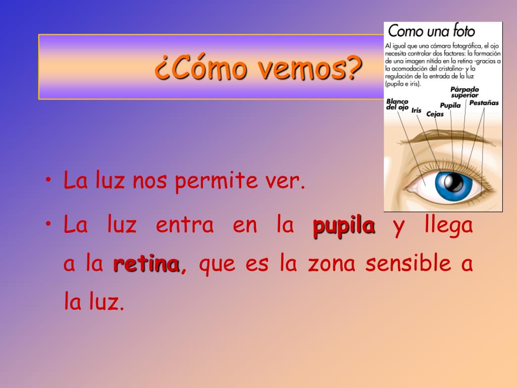 PPT - Trabajo realizado por : Alumnos del 5° “B” grado de educación ...