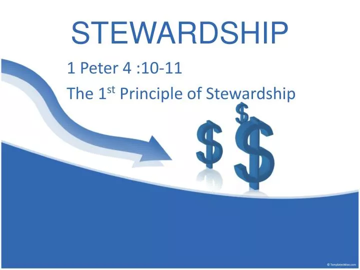PPT - STEWARDSHIP PowerPoint Presentation, free download - ID:4663199