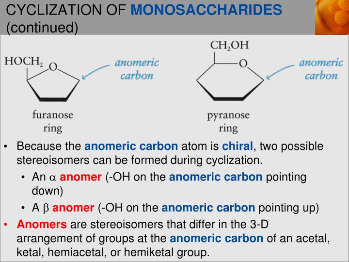 Anomeric carbon monosaccharides - heryvacations