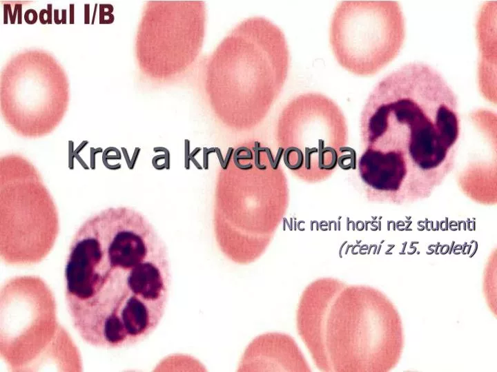 PPT - Krev a krvetvorba PowerPoint Presentation, free download - ID:4665499