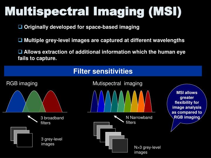 PPT - A multispectral image enhancement approach to visualize tissue ...