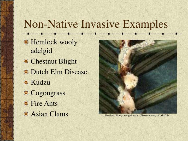 PPT - R8 Strategy for Non-Native Invasive Species PowerPoint ...