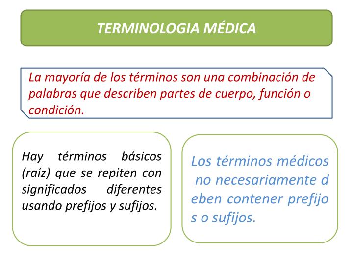 PPT - TERMINOLOGIA MÉDICA PowerPoint Presentation - ID:4670012