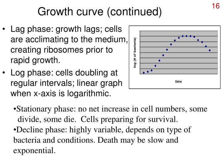 PPT - Physical requirements for growth PowerPoint Presentation - ID:4670018