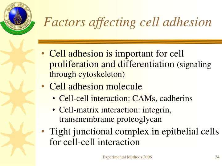 PPT - Introduction to Tissue culture PowerPoint Presentation - ID:4672116