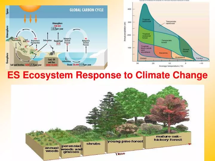 PPT - ES Ecosystem Response to Climate Change PowerPoint Presentation ...