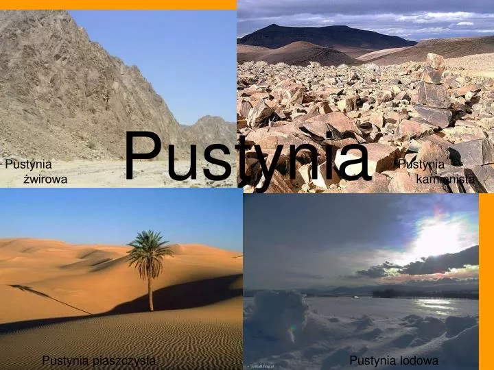 PPT - Pustynia PowerPoint Presentation, free download - ID:4677011